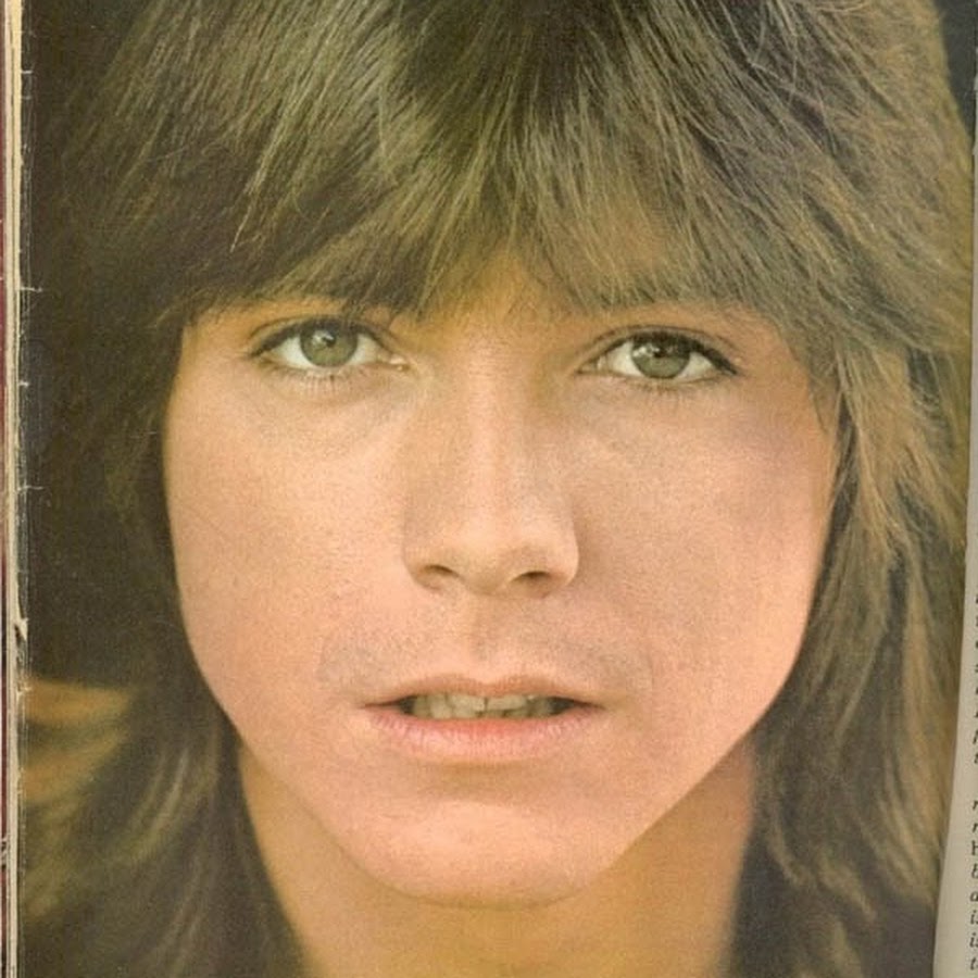 David Cassidy - All Because Of You - Golden Oldies Hits